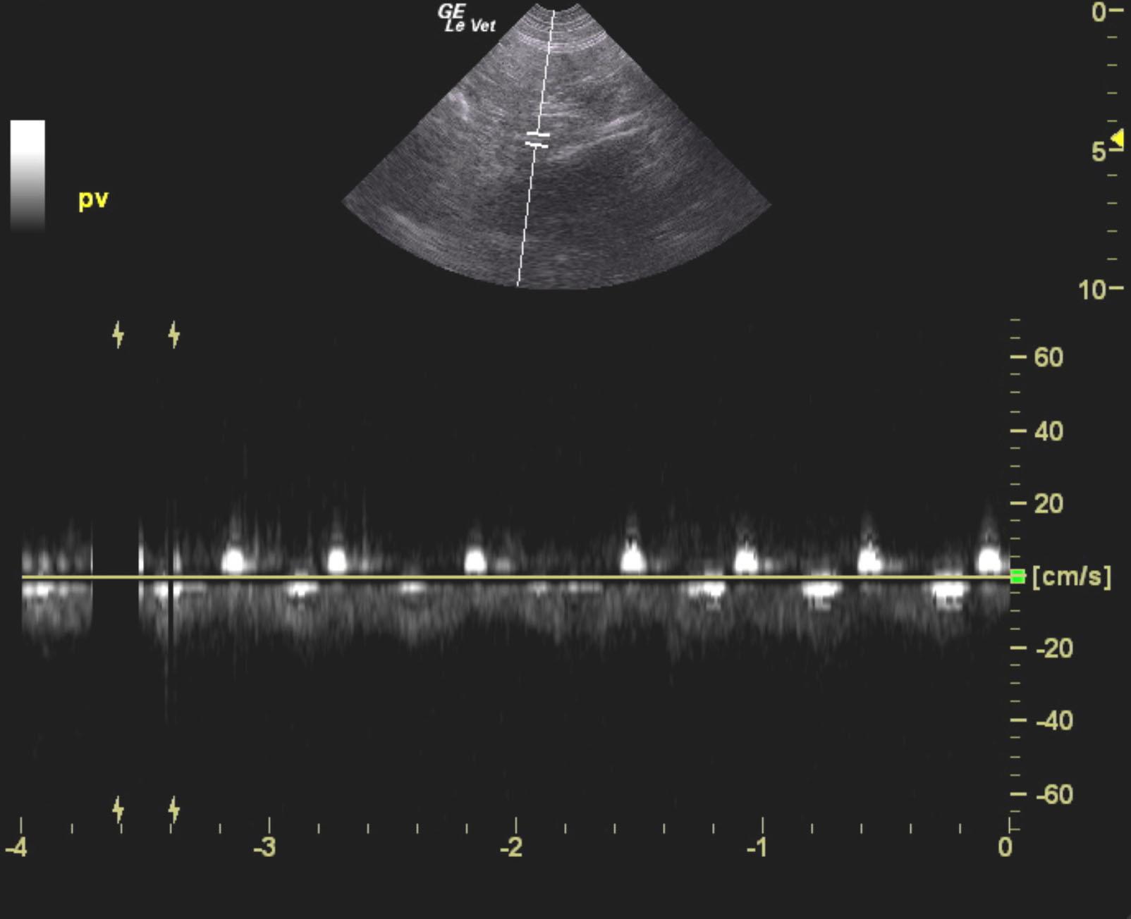 03_00376 Millicent R Microhepatica - Members