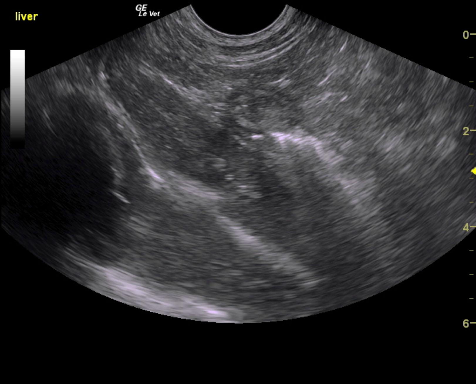 03-00401 Charlie W PSS-NEEDS EL TO CAPTION AND CHECK SI/SDX- Members