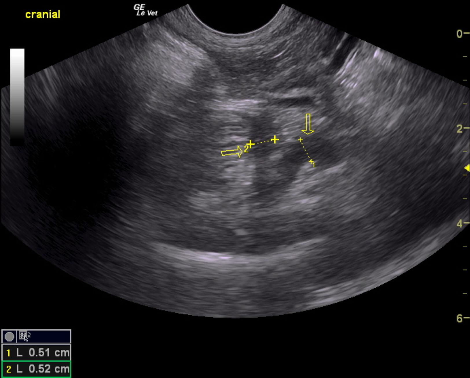 03-00401 Charlie W PSS-NEEDS EL TO CAPTION AND CHECK SI/SDX- Members