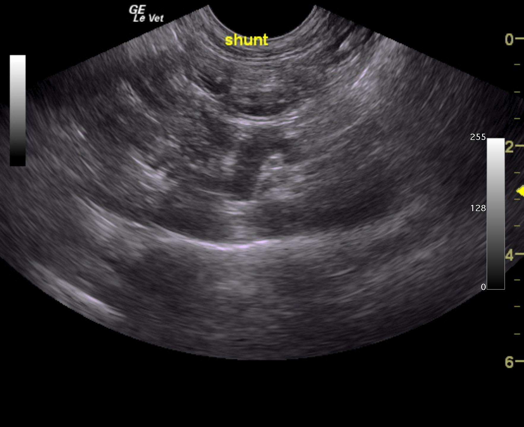 03-00401 Charlie W PSS-NEEDS EL TO CAPTION AND CHECK SI/SDX- Members