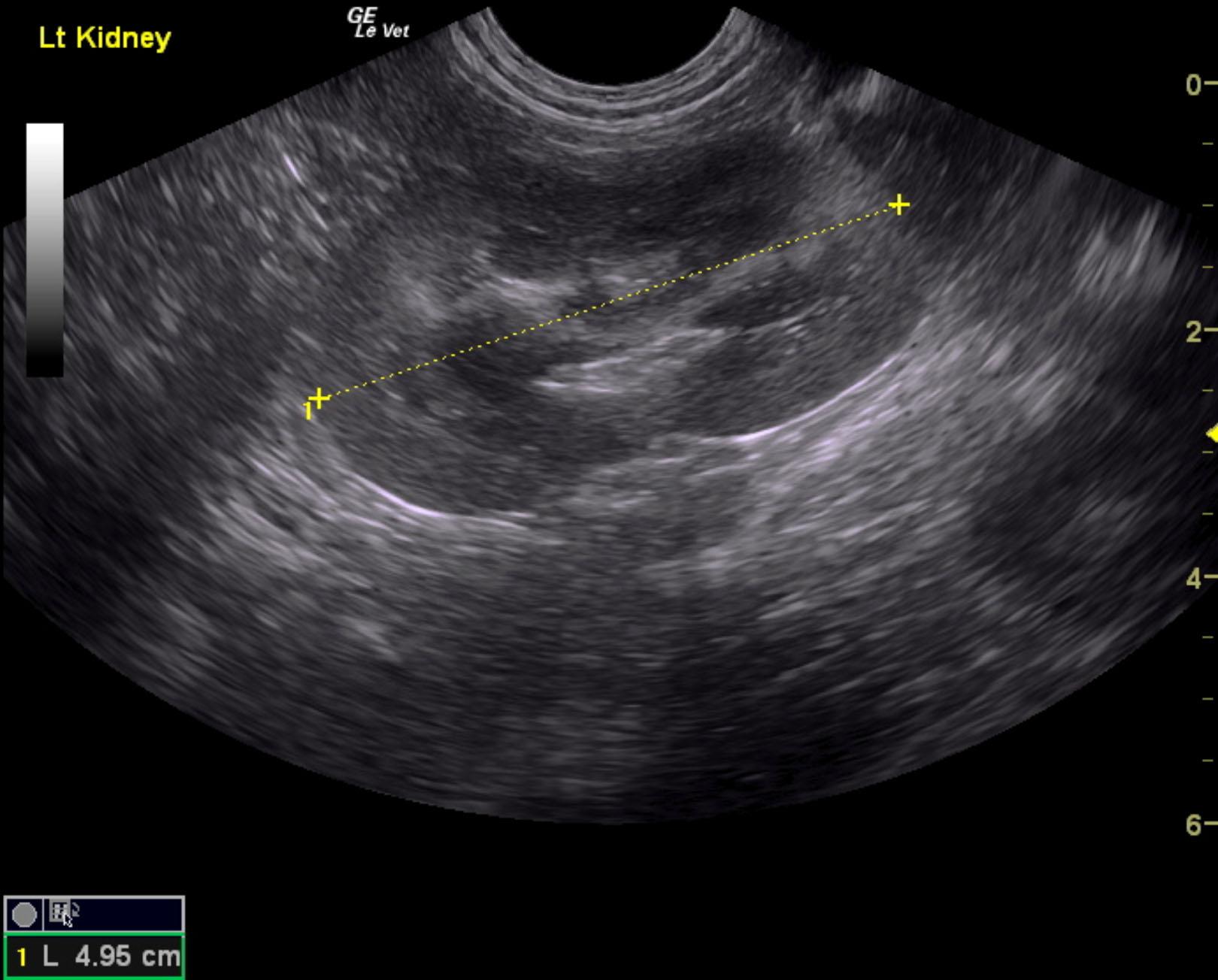 03-00401 Charlie W PSS-NEEDS EL TO CAPTION AND CHECK SI/SDX- Members