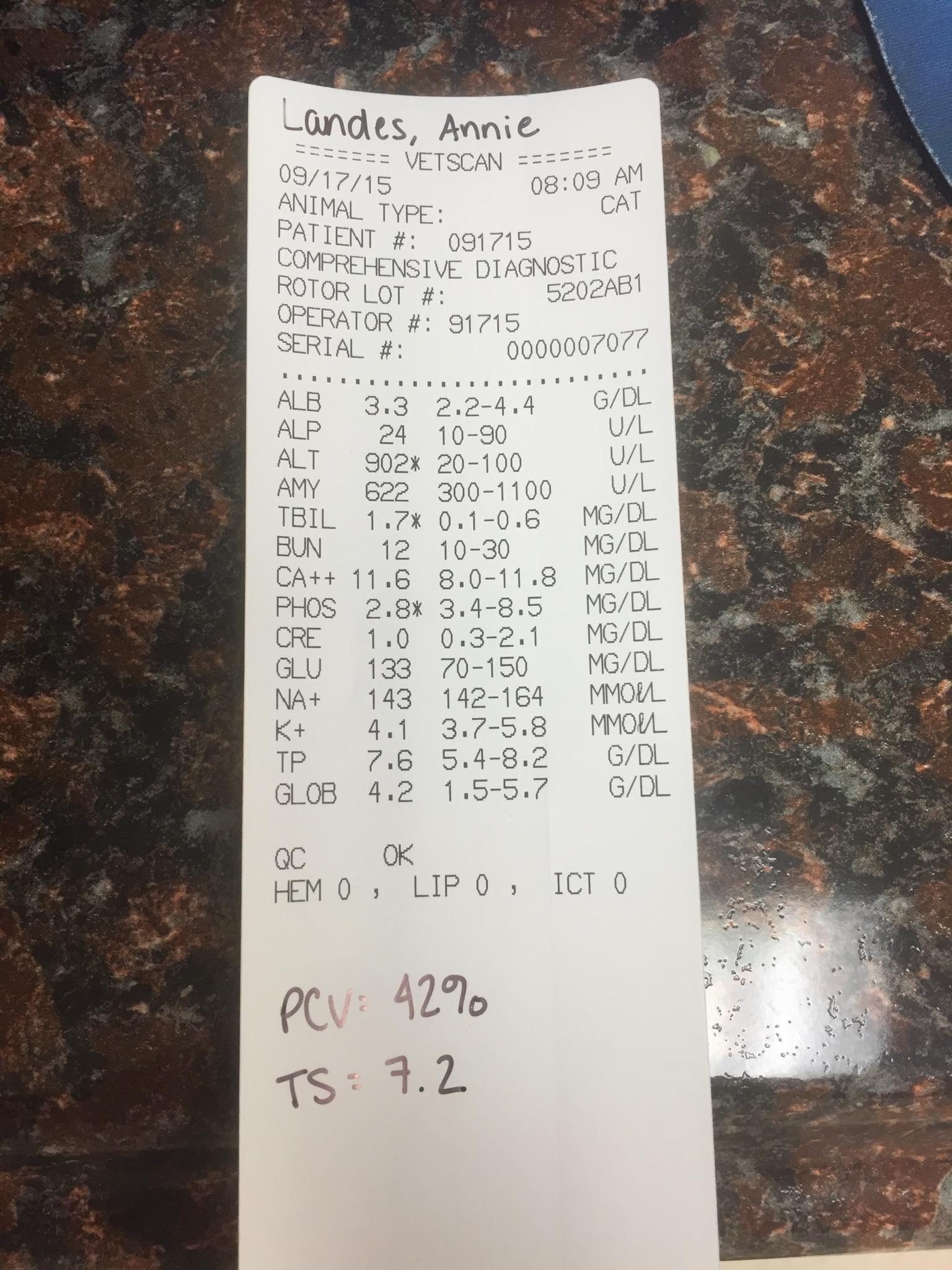 Cholecystolithiasis Cholangitis With Post Hepatic Obstruction And Pancreatitis In A 13 Year